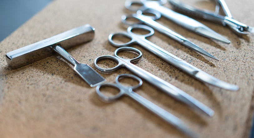 Necropsy Techniques: How to Properly Fix Gut Sections