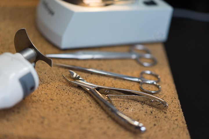 How Proper Necropsy Techniques Ensure Quality Pathology Services