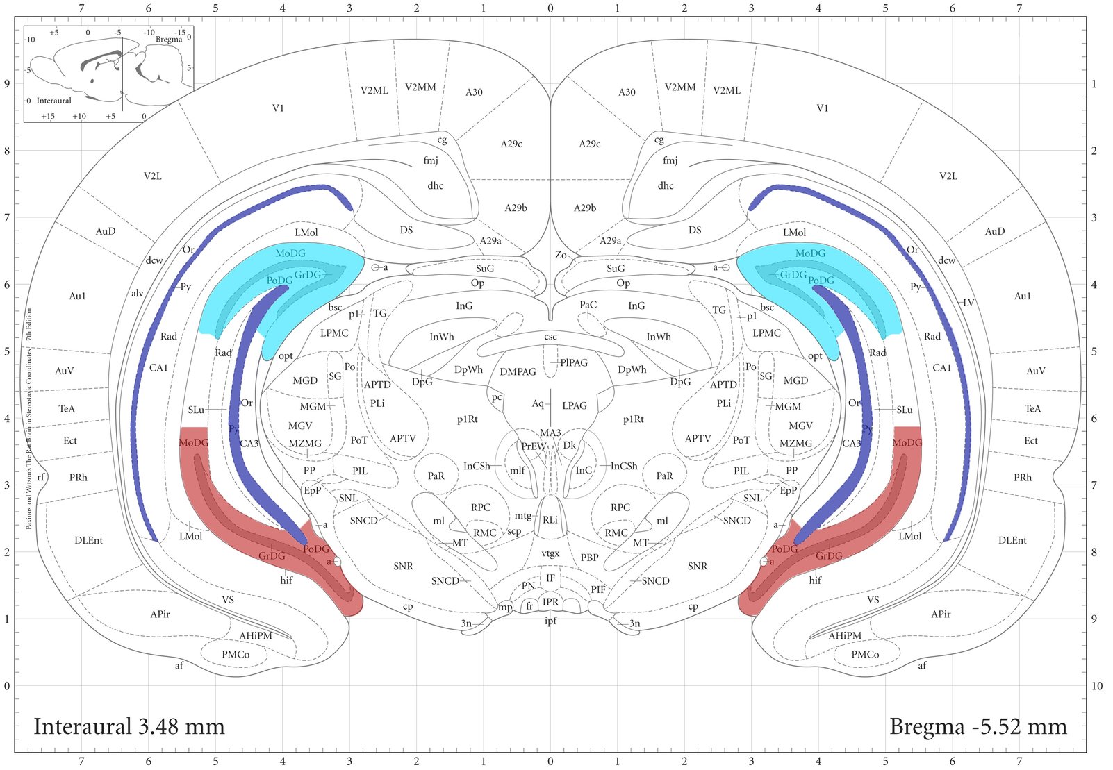 The Smarts on Brain Samples for Nonclinical Studies