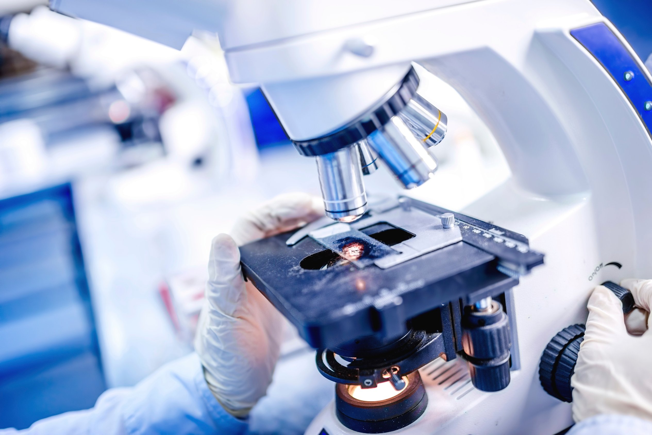 pathology-why-use-a-cro-for-your-preclinical-research